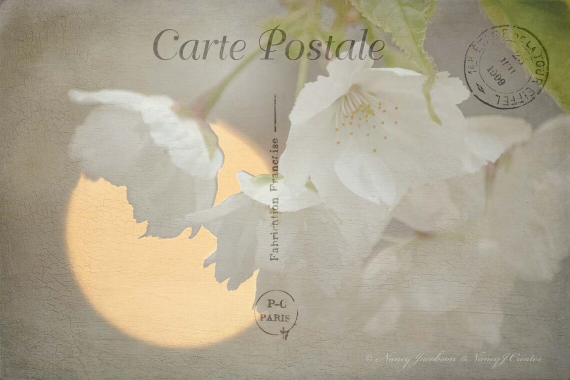 Vintage French Postcard Floral Print Dreamy Wall Art | Etsy