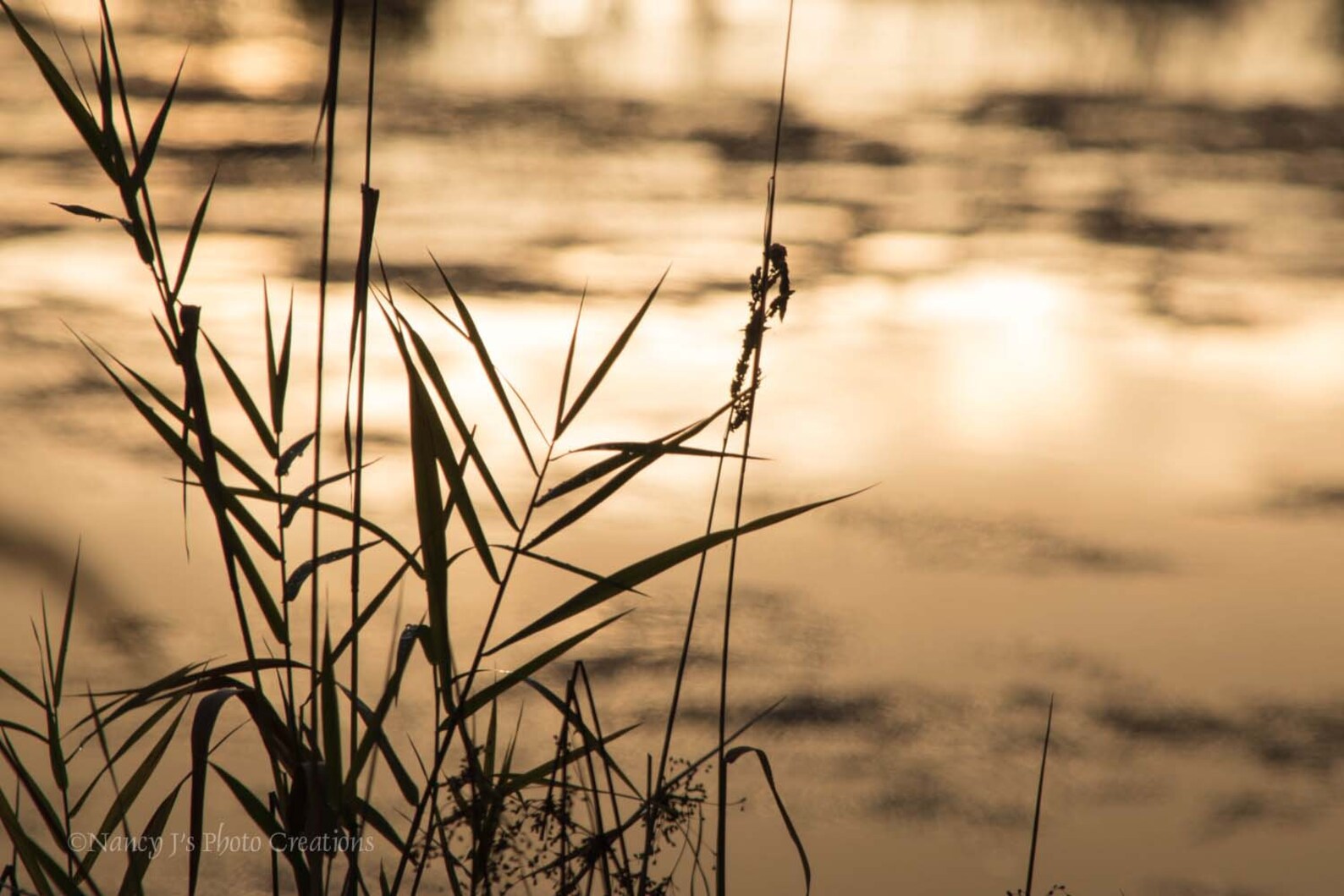 Christian Wall Art Nature Photography Religious Gift Sunset | Etsy