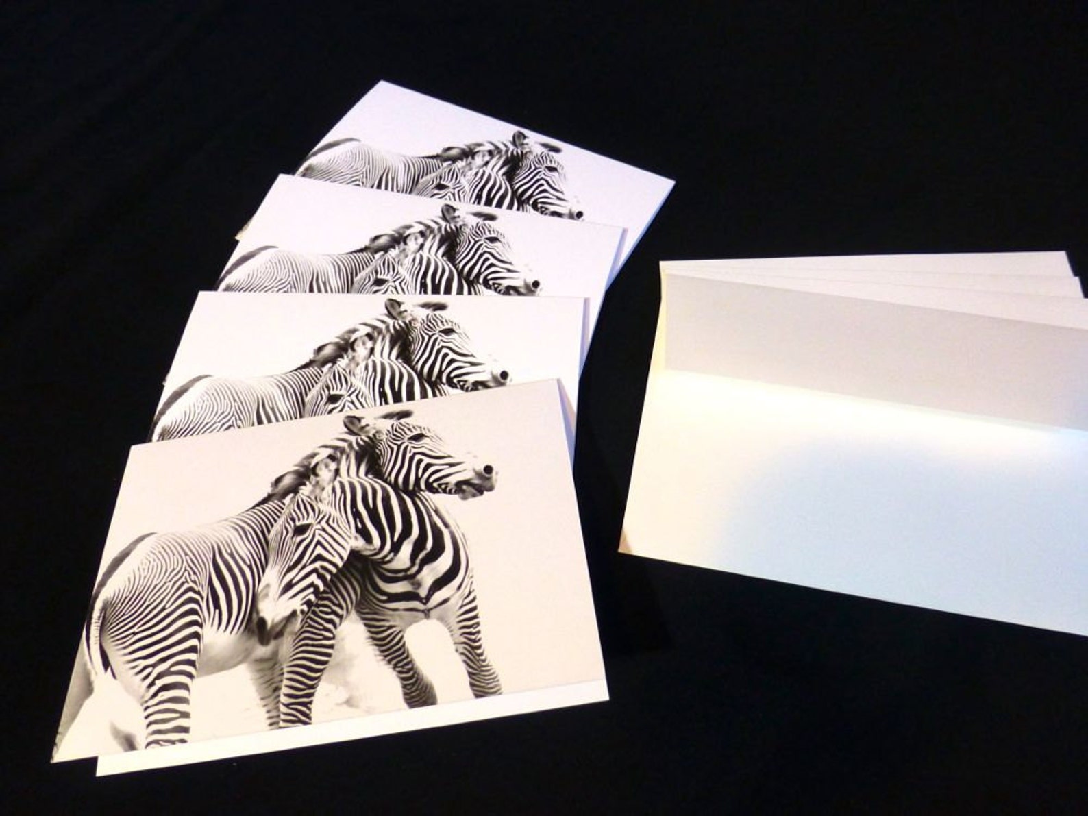 Zebra Note Cards Set of 4 All Occasion Blank Cards Love Thank You Gift ...