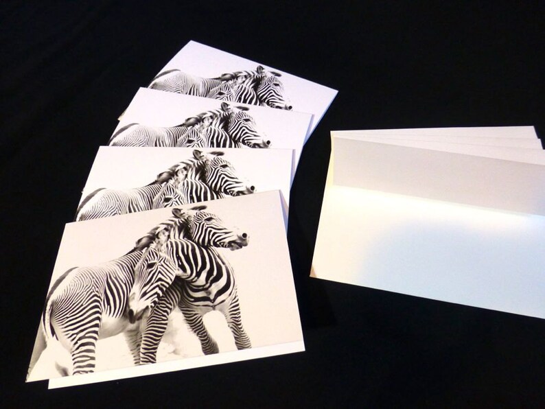 Zebra Note Cards Set of 4 All Occasion Blank Cards Love Thank You Gift ...