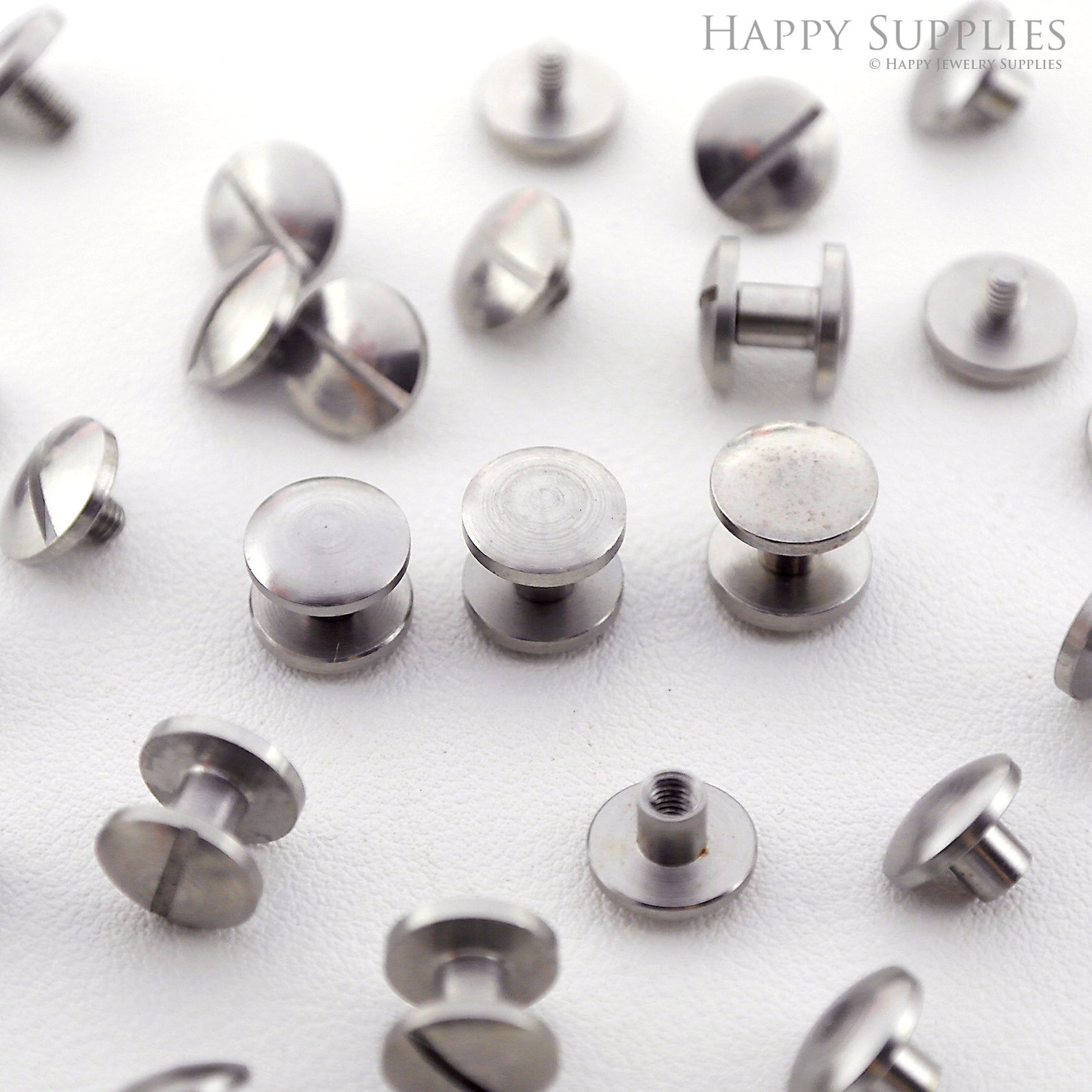 10MM Curved Head Stainless Steel Chicago Screw for Leather, 3/8" Screw ...