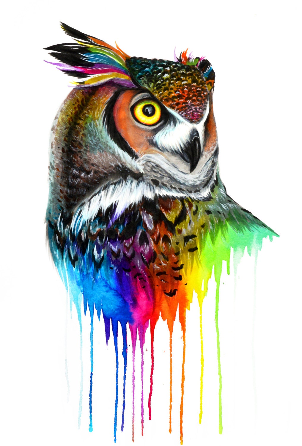 Rainbow Owl Original Etsy