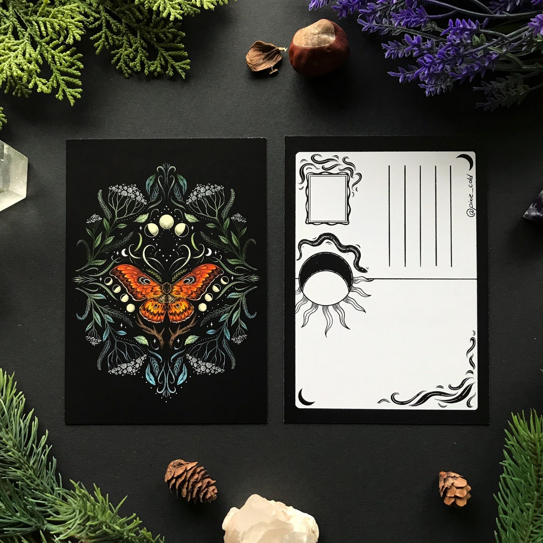 Moth and Yarrow Postcard - Designed by Pixie Cold - Etsy