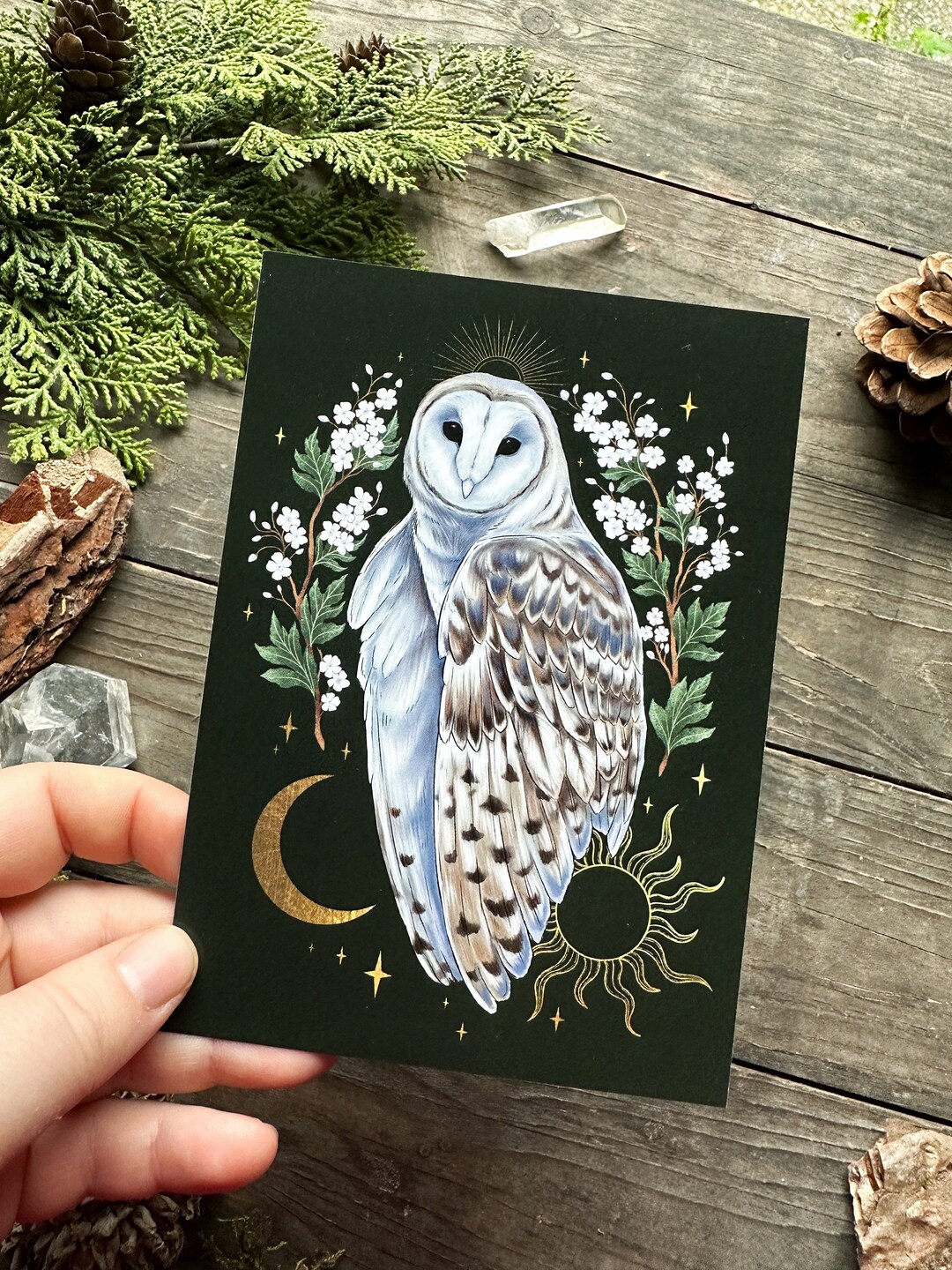 Magical Postcard -white Owl With Dark Green Background- Designed by ...