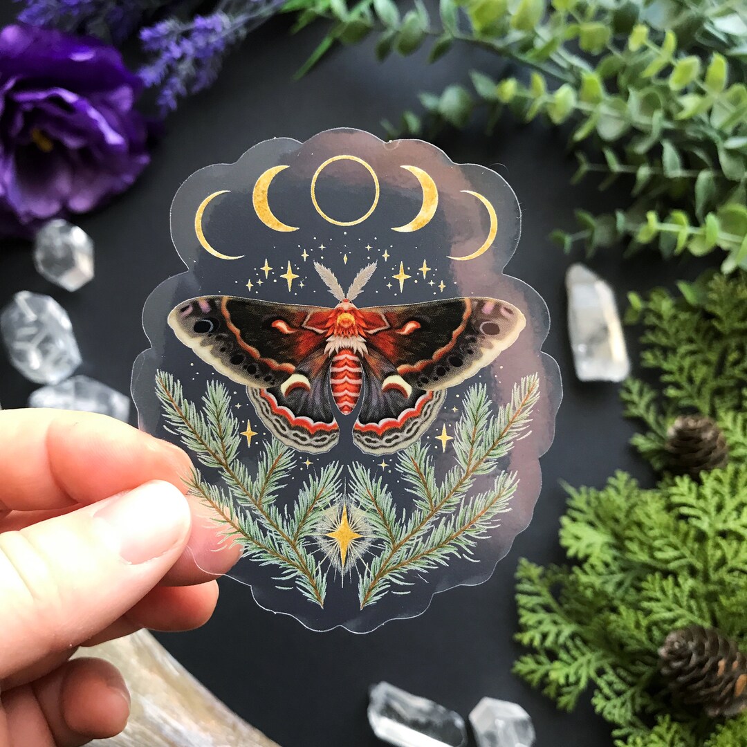 Beautiful Transparent Vinyl Sticker- Red Moth - Waterproof Sticker - Etsy