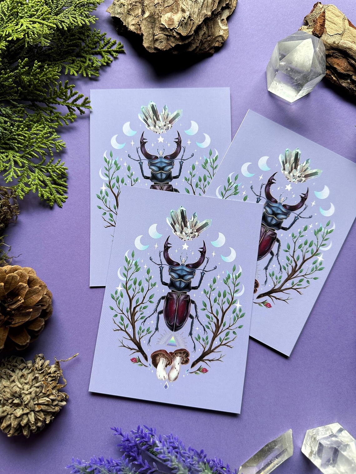 Magical Postcard -stag Beetle- Designed by Pixie Cold - Etsy