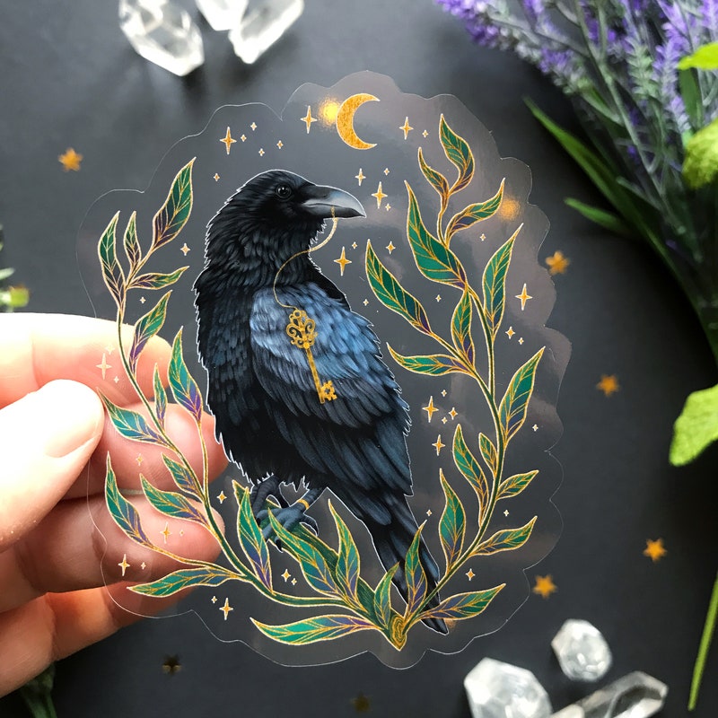 Transparent Vinyl - Etsy