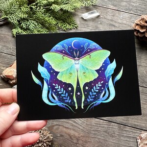 Magical Postcard -luna Moth- Designed by Pixie Cold - Etsy