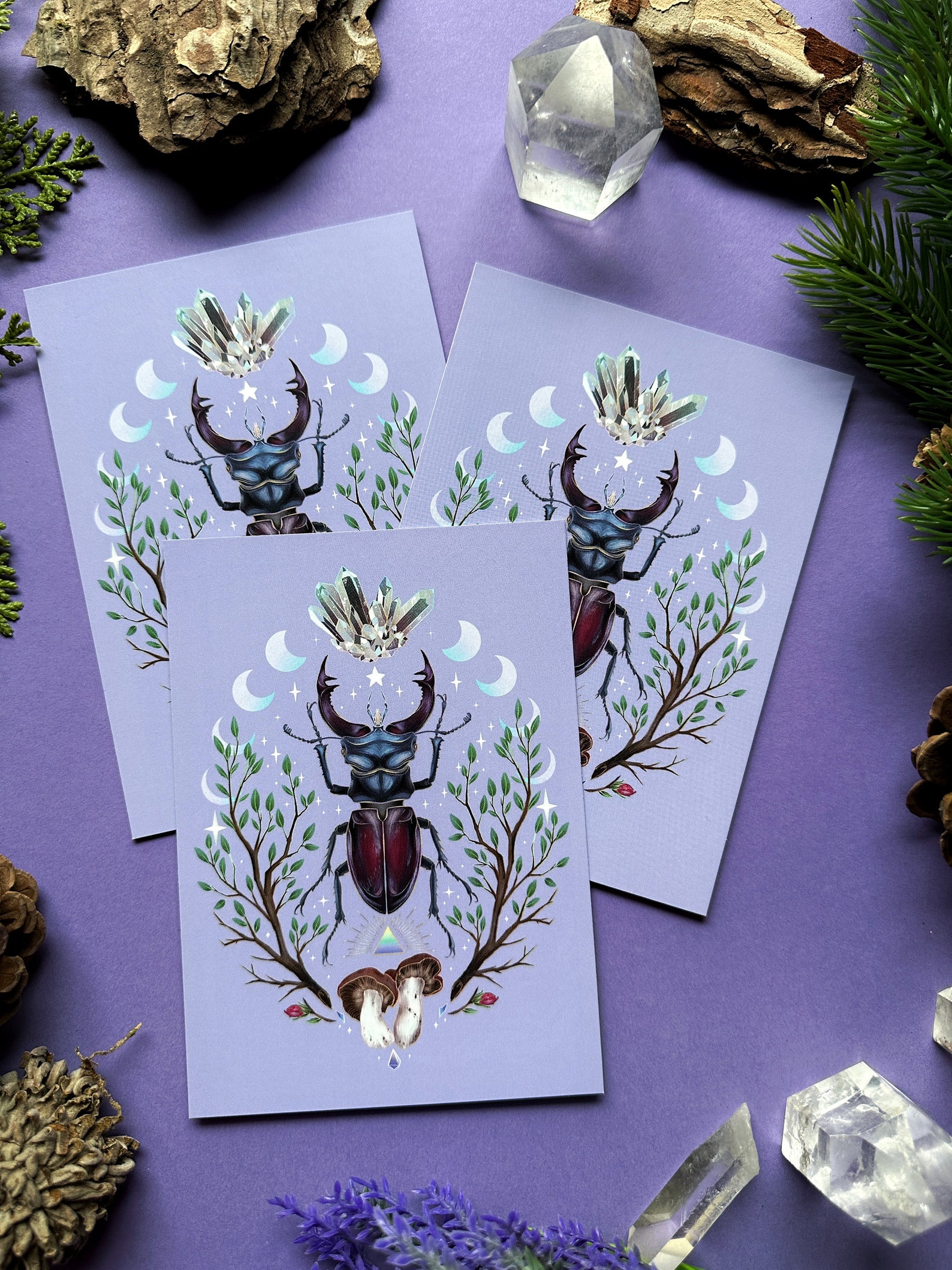 Magical Postcard -stag Beetle- Designed by Pixie Cold - Etsy