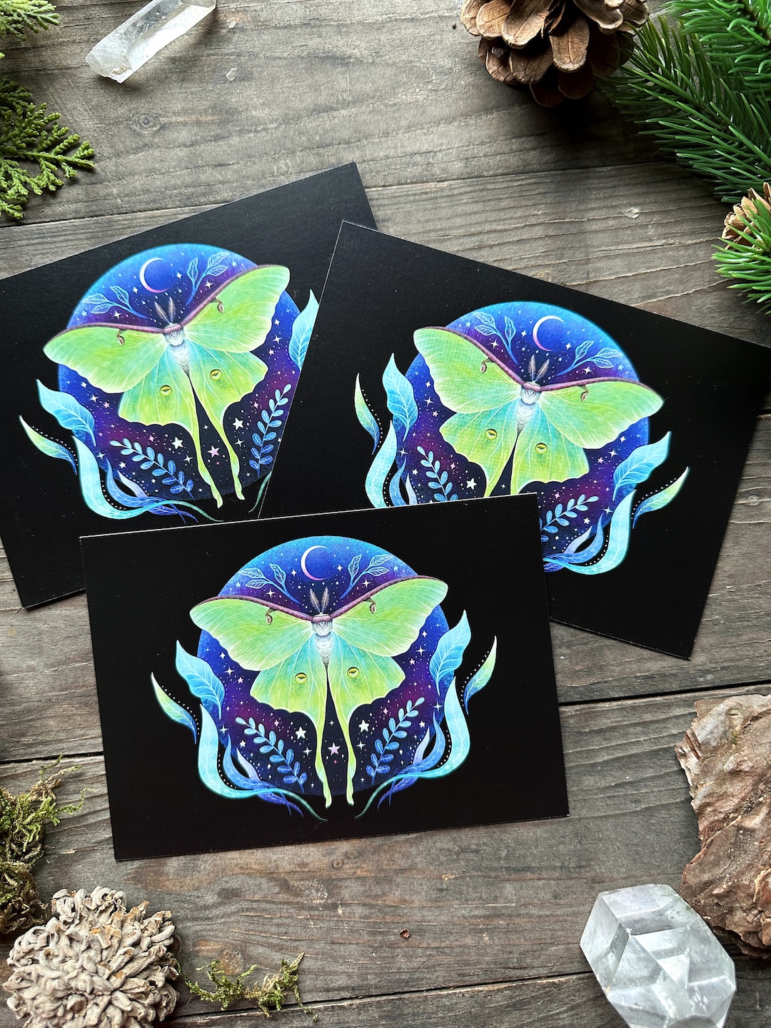 Magical Postcard -luna Moth- Designed by Pixie Cold - Etsy