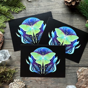 Magical Postcard -luna Moth- Designed by Pixie Cold - Etsy