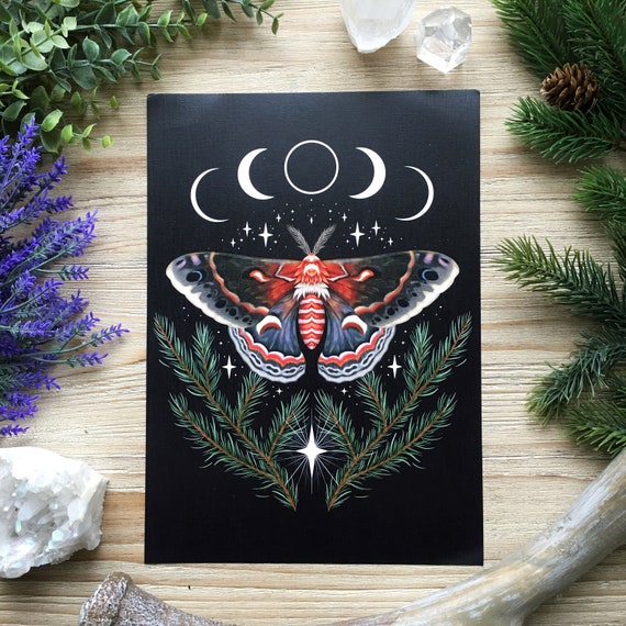 Royal Moth Hand Signed Art Print on Textured High Quality - Etsy