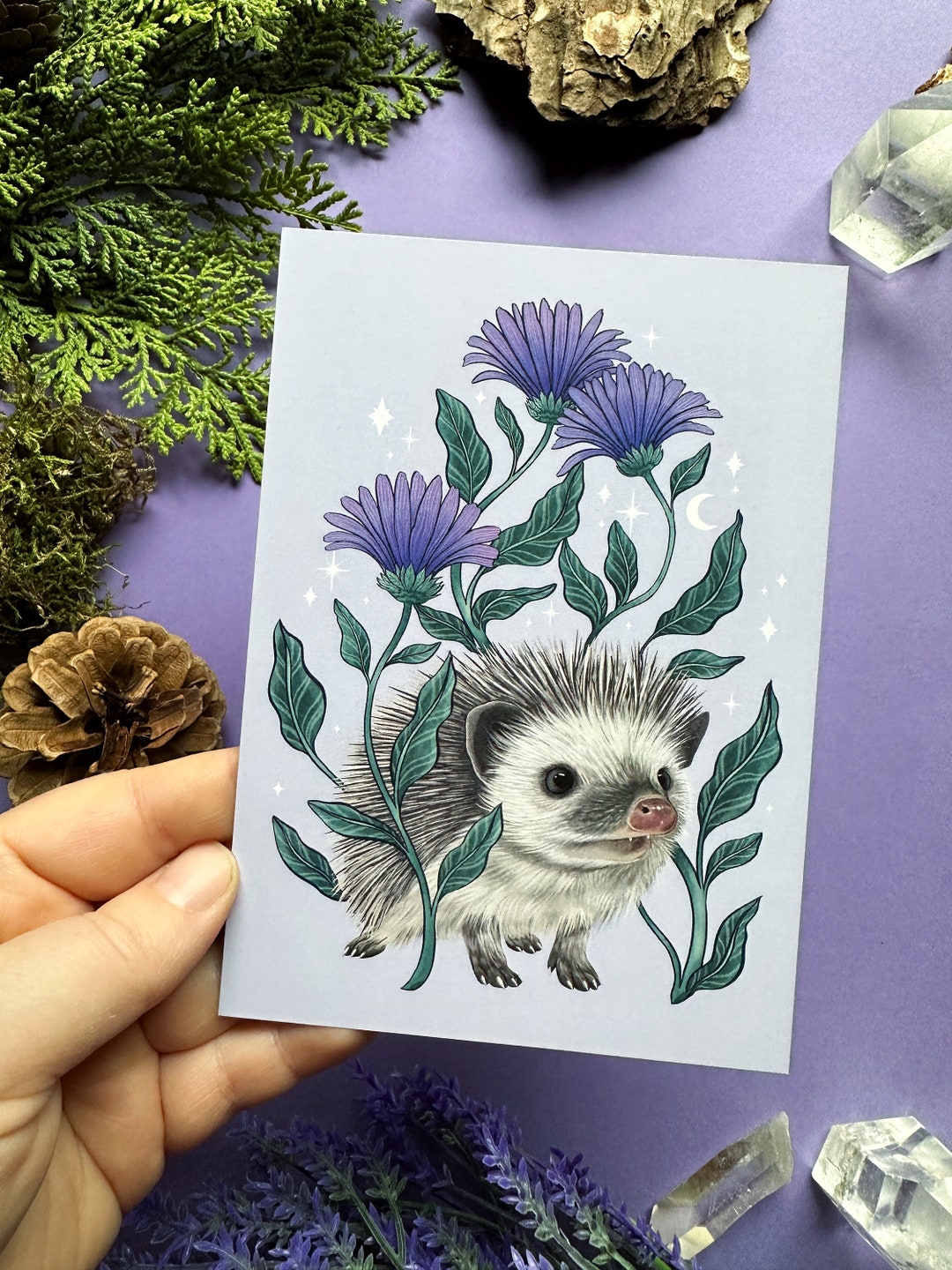 Magical Postcard -hedgehog- Designed by Pixie Cold - Etsy