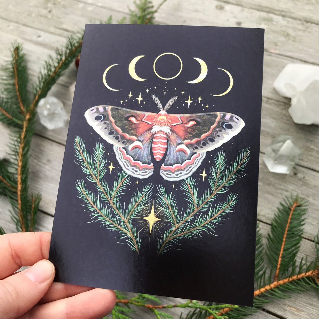 Metallic Shimmering Postcard -winter Moth- Designed by Pixie Cold - Etsy