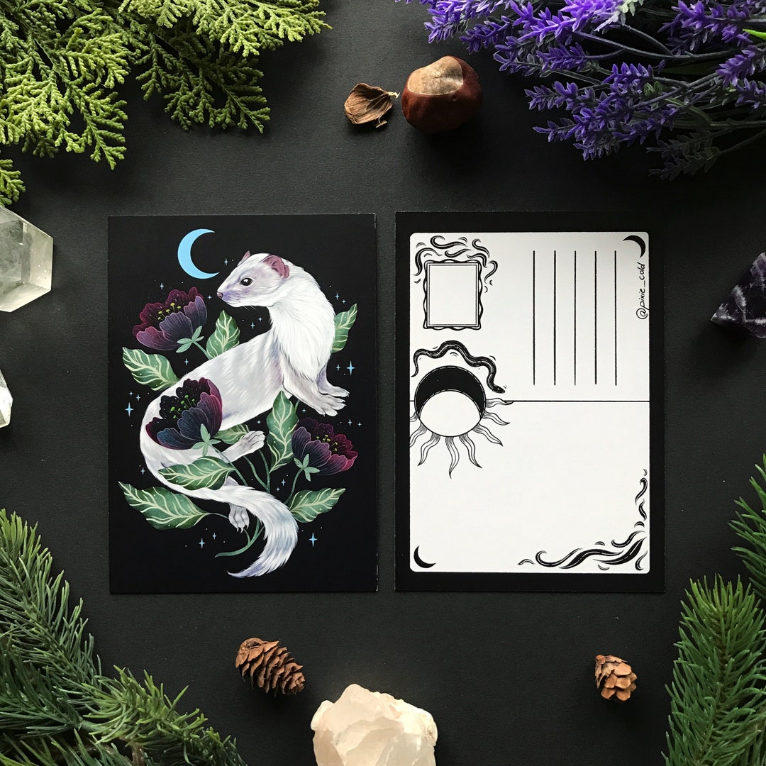 White Weasel Postcard - Designed by Pixie Cold - Etsy