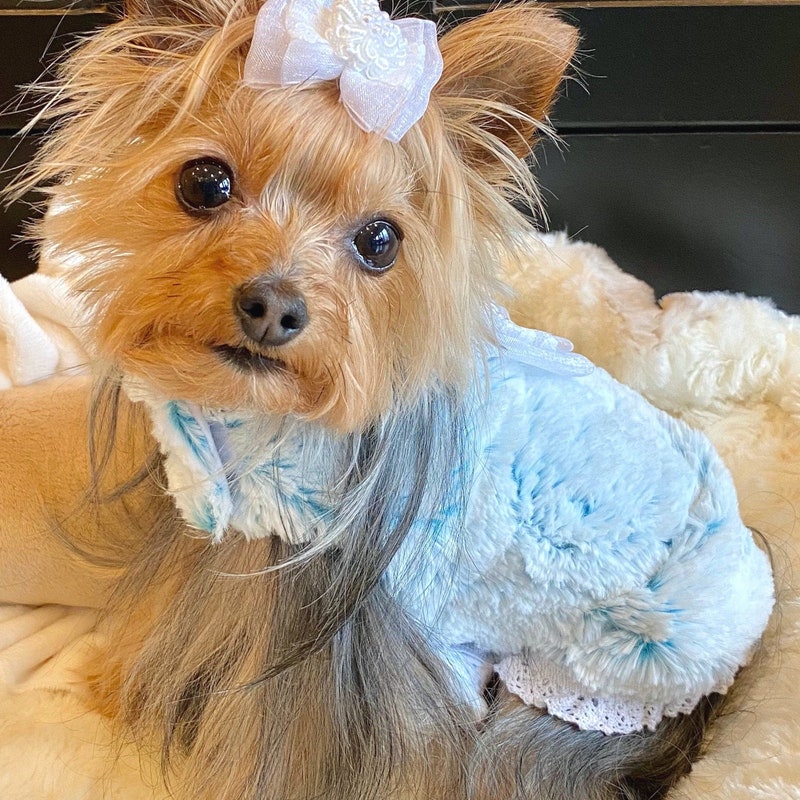 Doggie Couture - Etsy