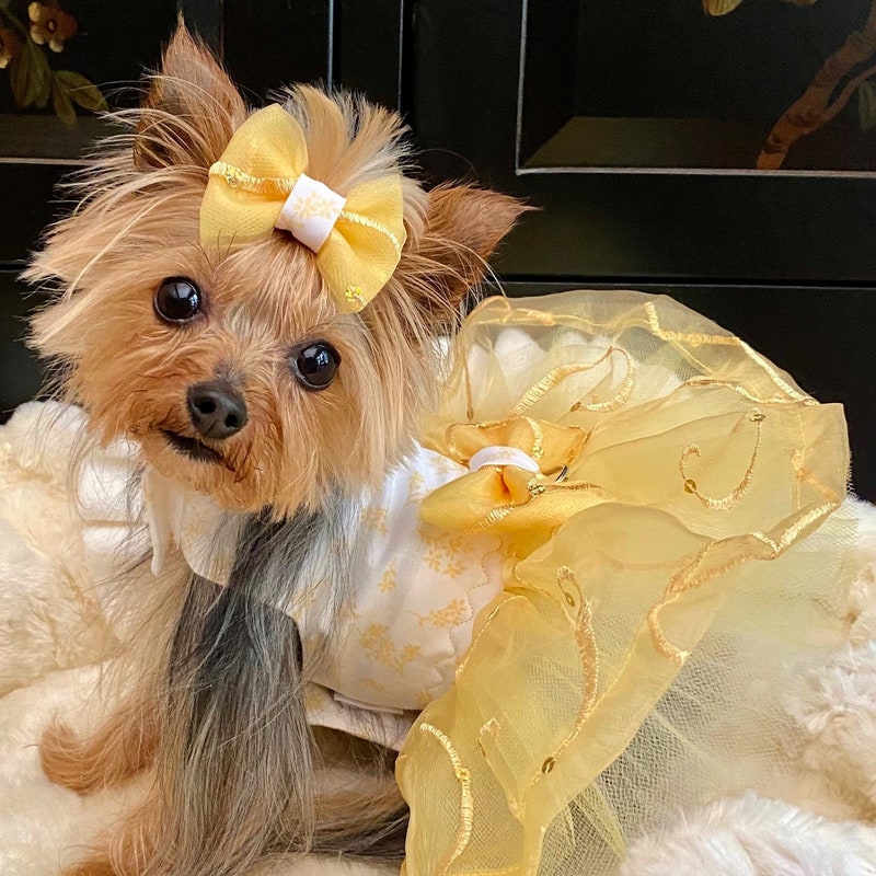 Doggie Couture - Etsy