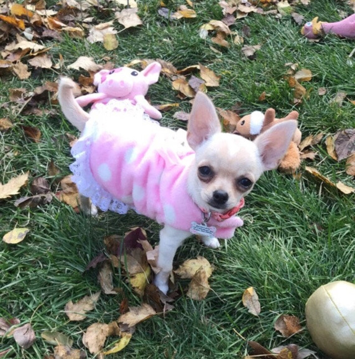 Pink Polka Dots Dog Coat Fleece Pet Coat Jacket for Dogs | Etsy