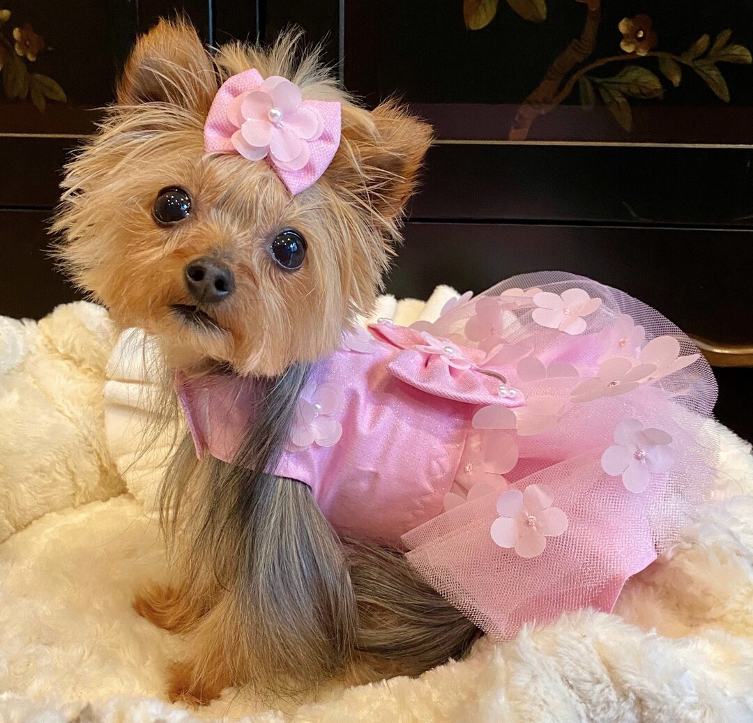 Princess Dog Dress, Dog Dress, Puppy Dress, Floral Dog Dress, Yorkie ...