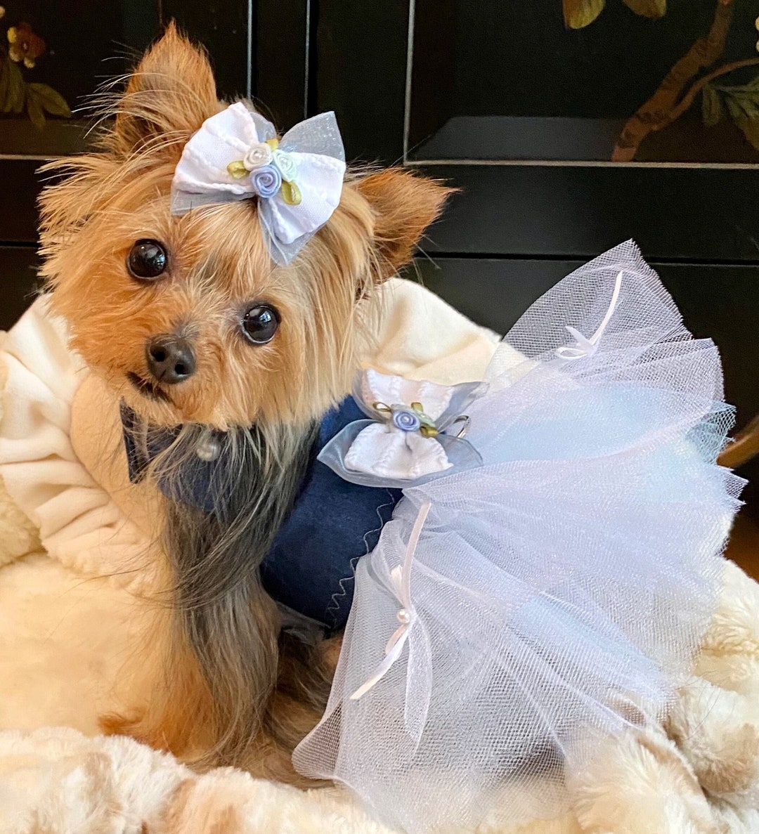Dog Harness ~ Fancy Dog ~summer Dog Dress ~ Puppy Harness ~ Pet Apparel ...