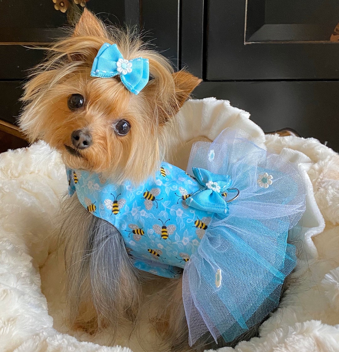 Teal Bumble Bee Pet Harness - Puppy Clothes, Harness for Dogs, Puppy ...