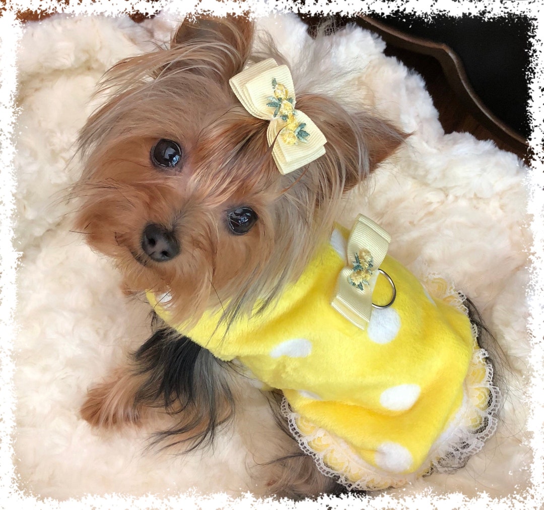 Yellow Polka Dots Dog Coat XS, S, M....pet Coat, Jacket for Dogs, Pet ...