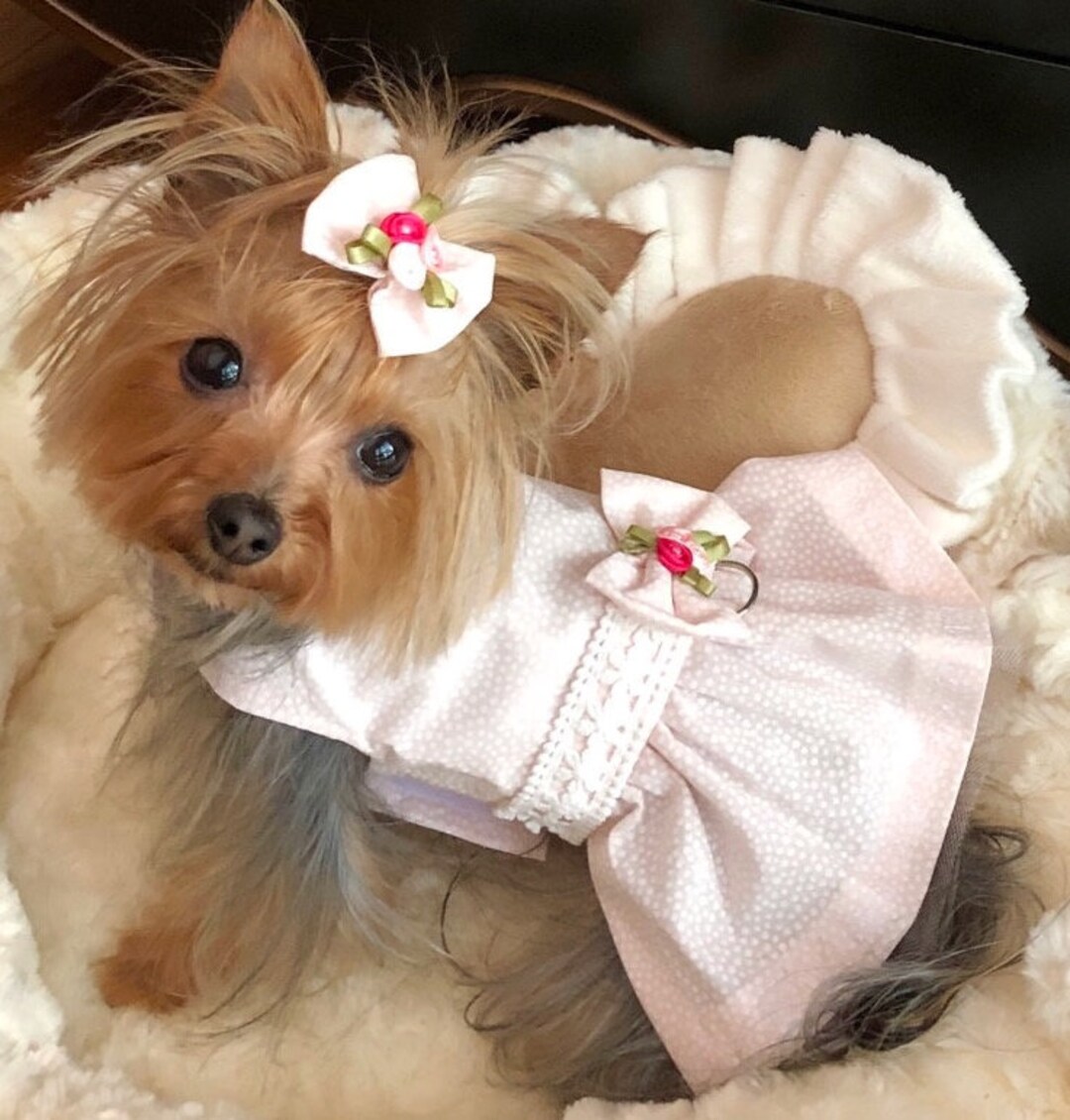 Glamour Dog Harness Dress: Tulle & Cotton, Flower Girl Outfit - Etsy