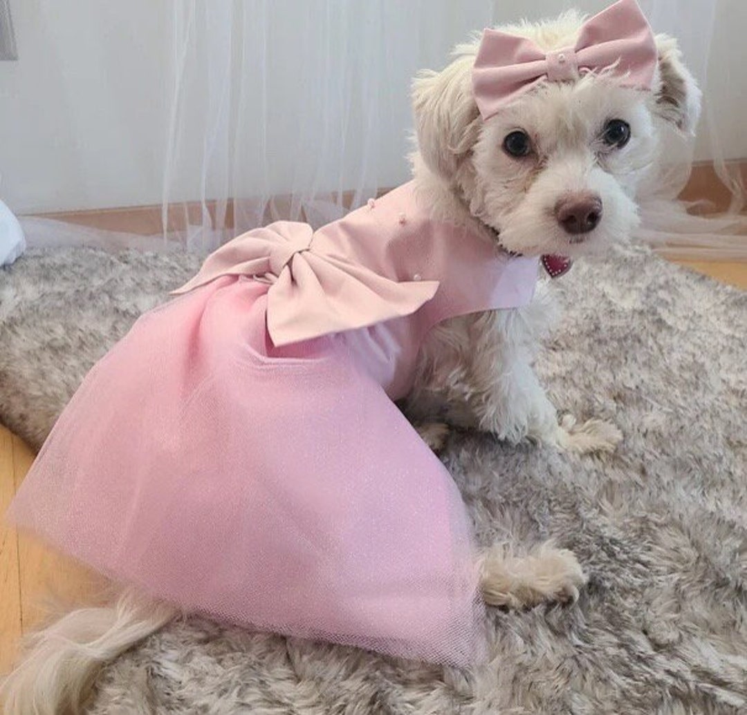 Dog Dress - S Dog Dress, Puppy Dog Dress, Pooch Clothes, XXS Doggie ...