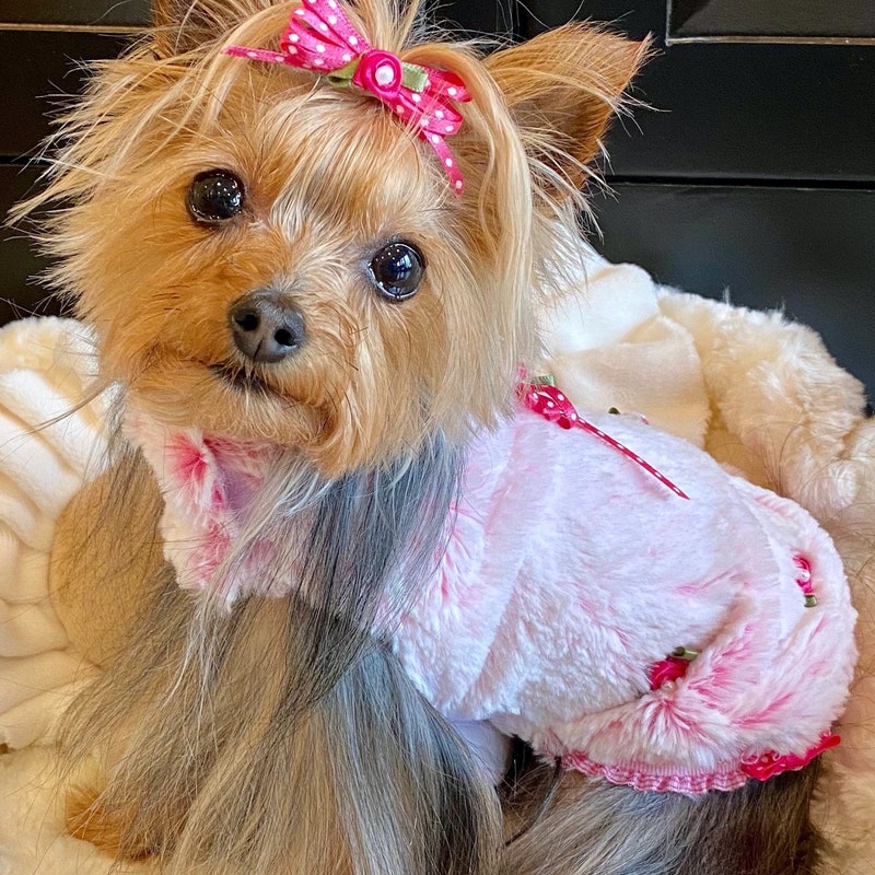 Doggie Couture - Etsy