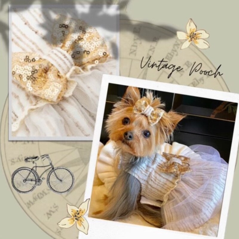 Doggie Couture - Etsy