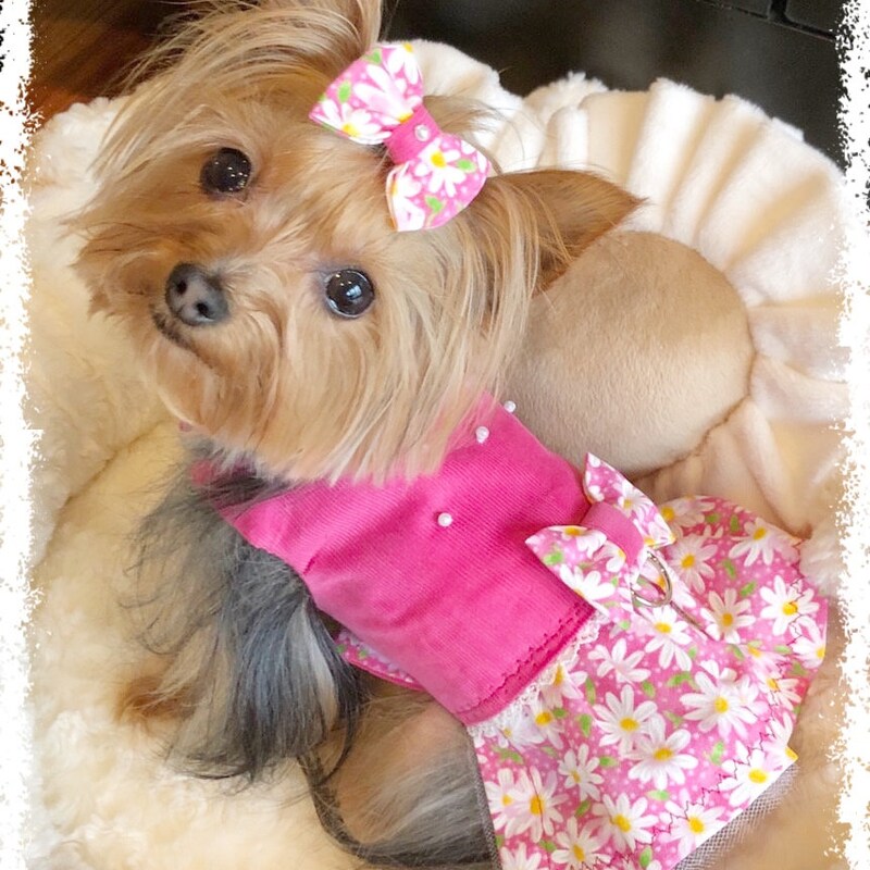 Designer Dog Clothes - Etsy