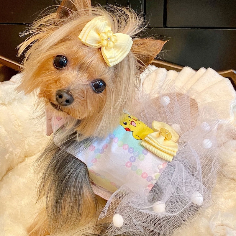 Pikachu Dog Costume - Etsy