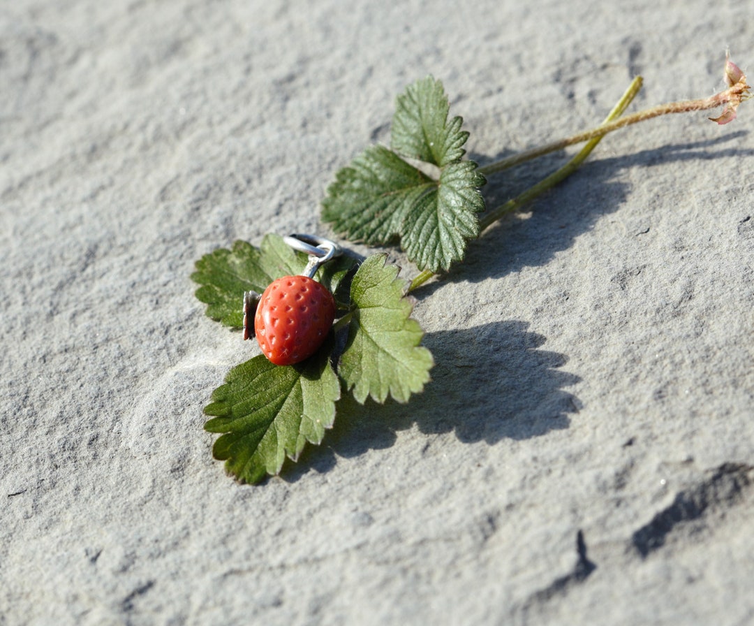 CORAL PENDANT Strawberry Fruit ''FRUTTINO'' 29 - Red Coral Pendant ...