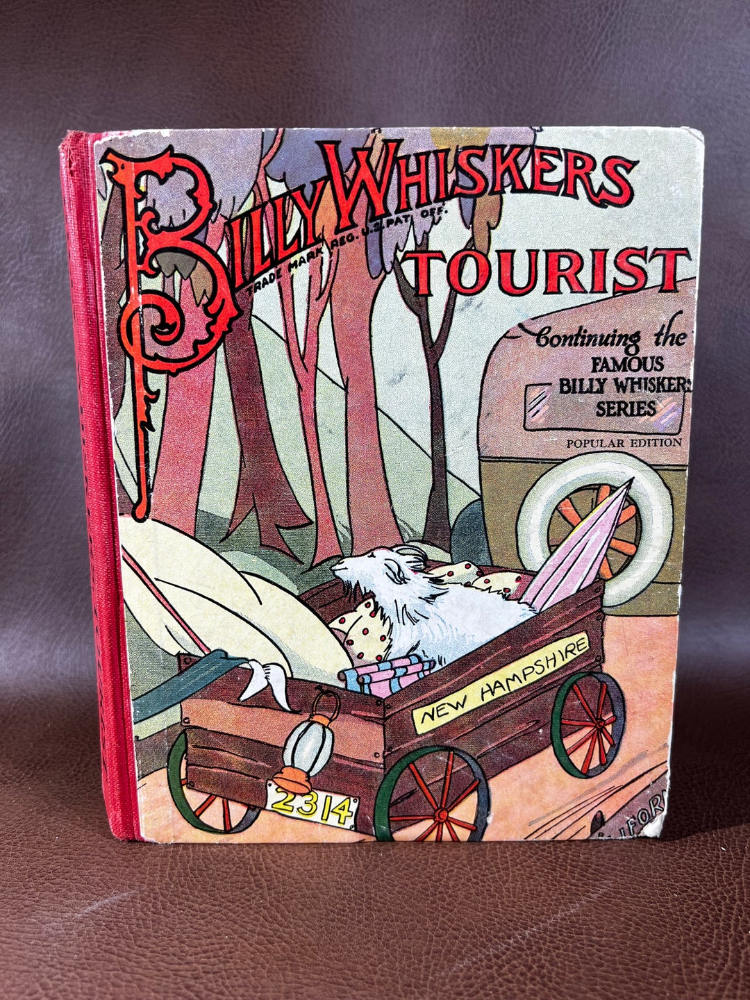 Antique Children's Book Billy Whiskers Tourist Hard Back - Etsy