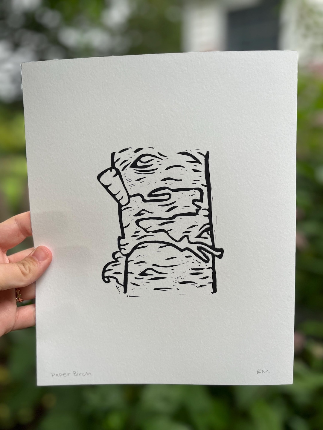 Paper Birch Bark | Linocut | Hand Print | Unframed | 8x10 Inches - Etsy