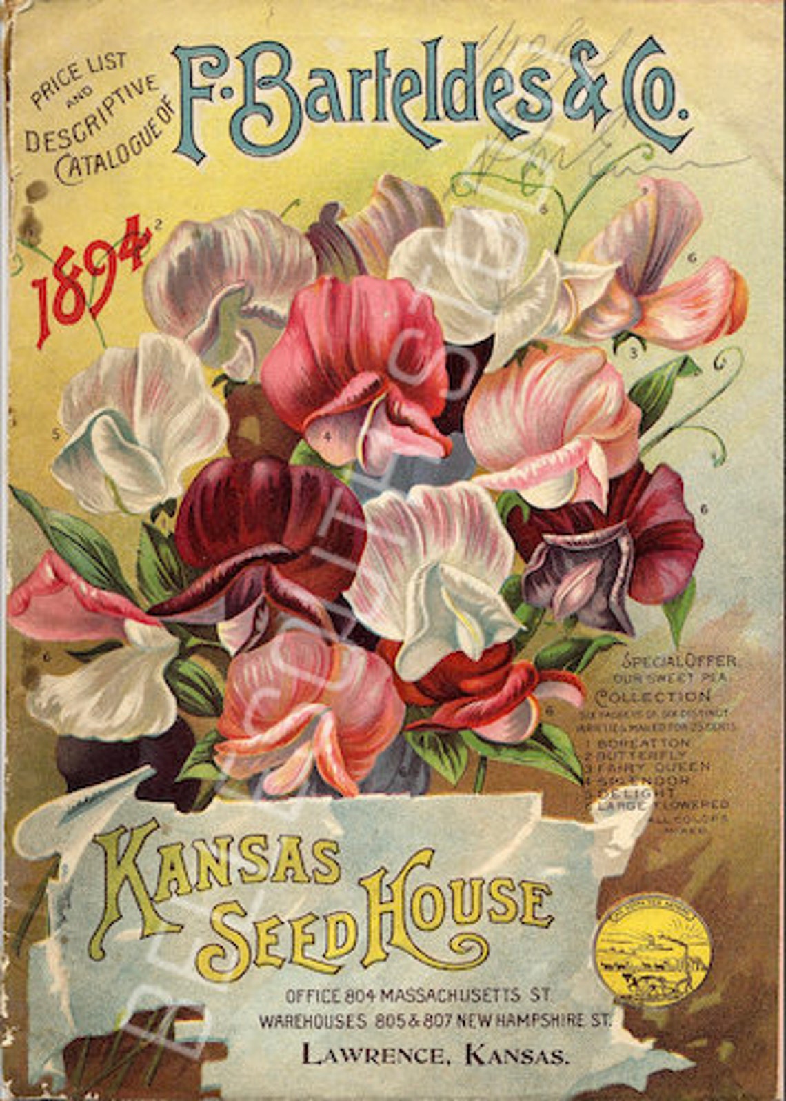 Vintage Seed Catalog Cover Art: Flowers & Vegetables (PDF), Hand-drawn ...
