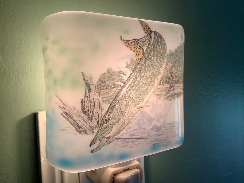 Pike Fish Fused Glass Plug in Fishing Fisherman Night Light - Etsy