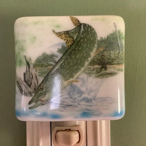 Pike Fish Fused Glass Plug in Fishing Fisherman Night Light - Etsy