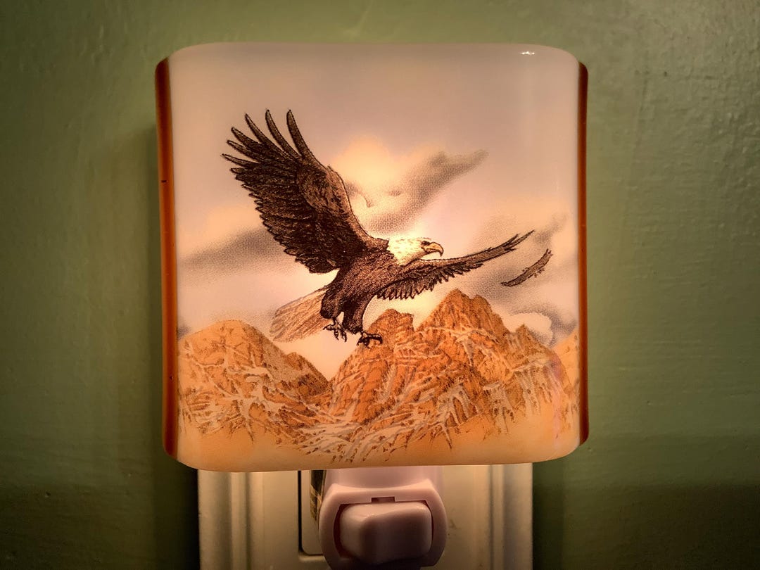 Bald Eagle Fused Glass Plug in Bird Night Light With Draped Sides ...