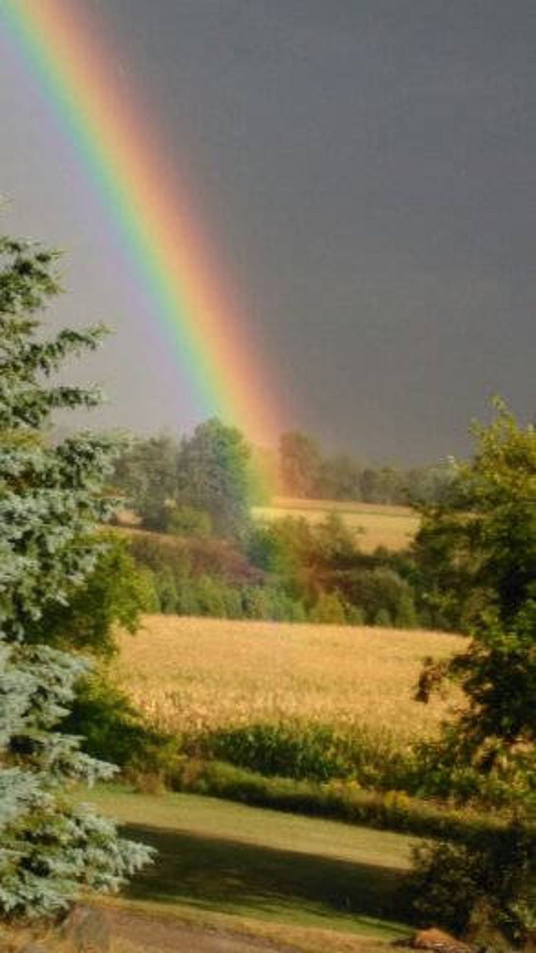 Rainbow Photo. - Etsy