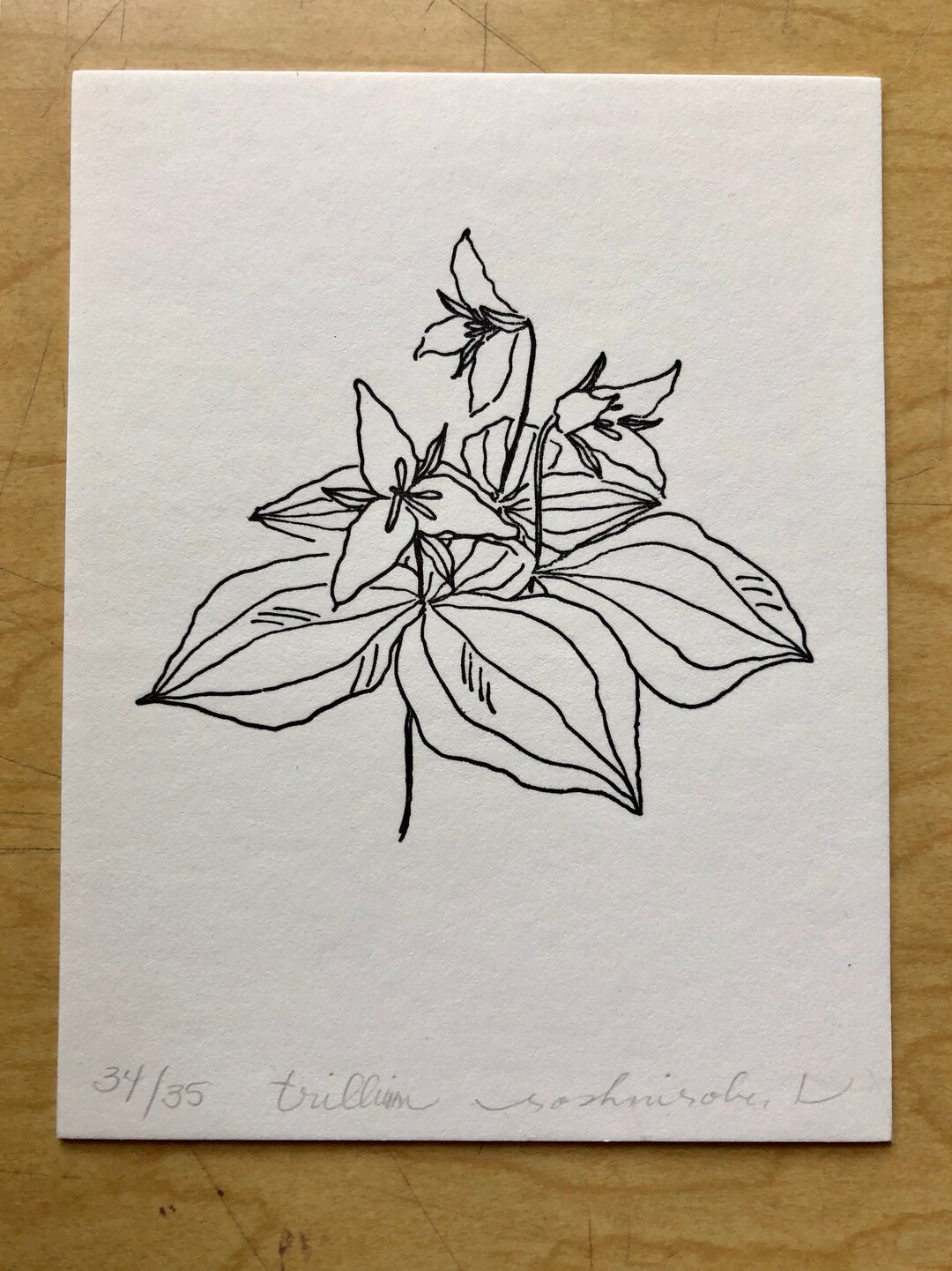 Trillium Print to Ship - Etsy