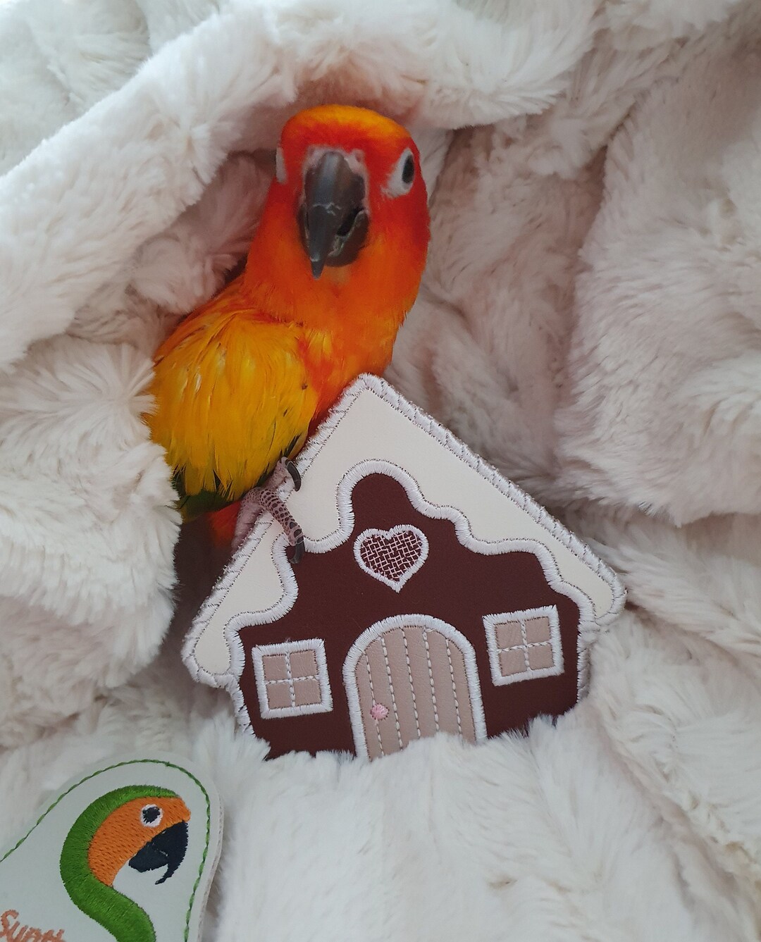 Gingerbread House Coaster 4 X 4 ITH DIGITAL FILE Only - Etsy