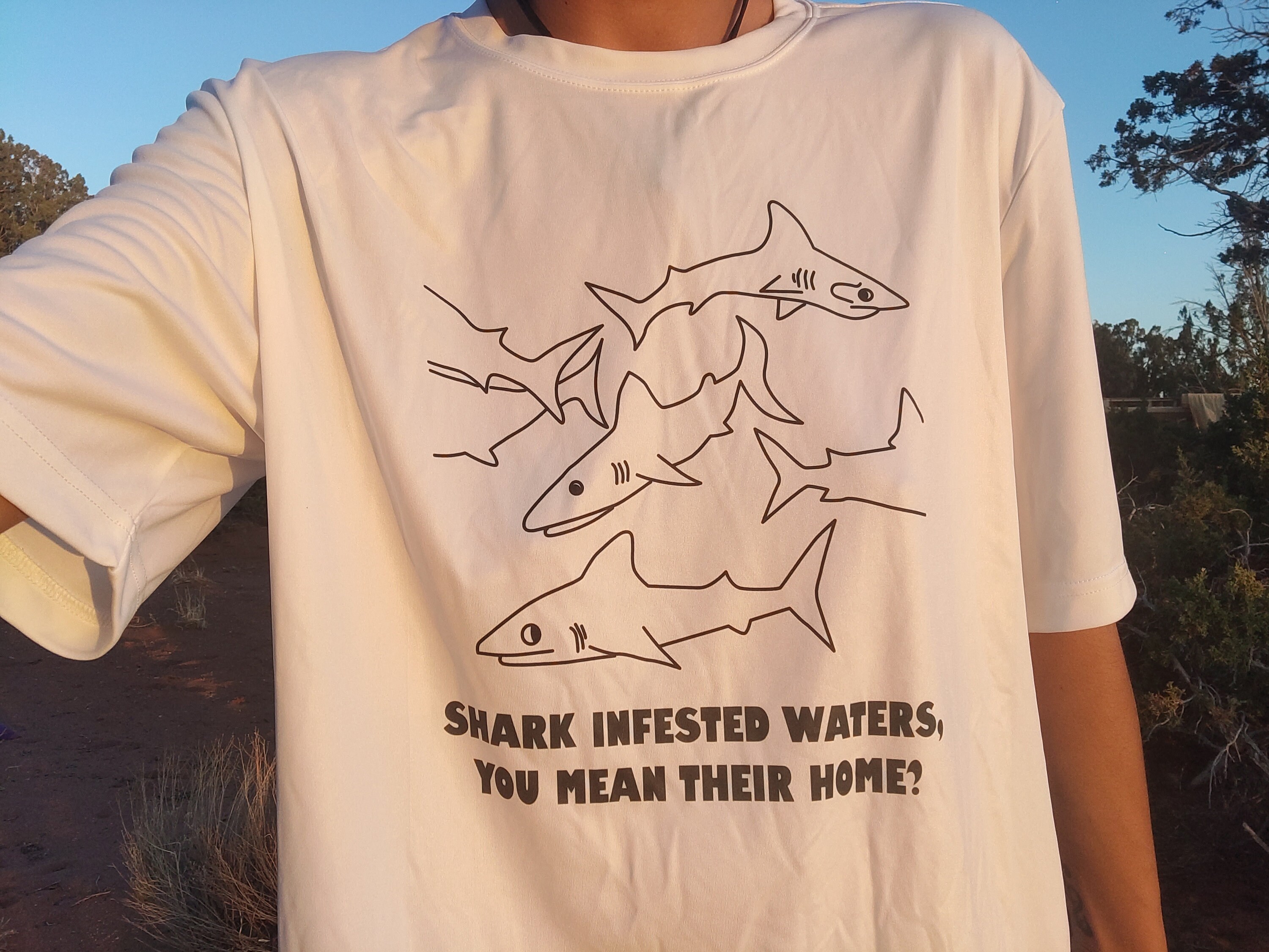 Shark Infested Waters