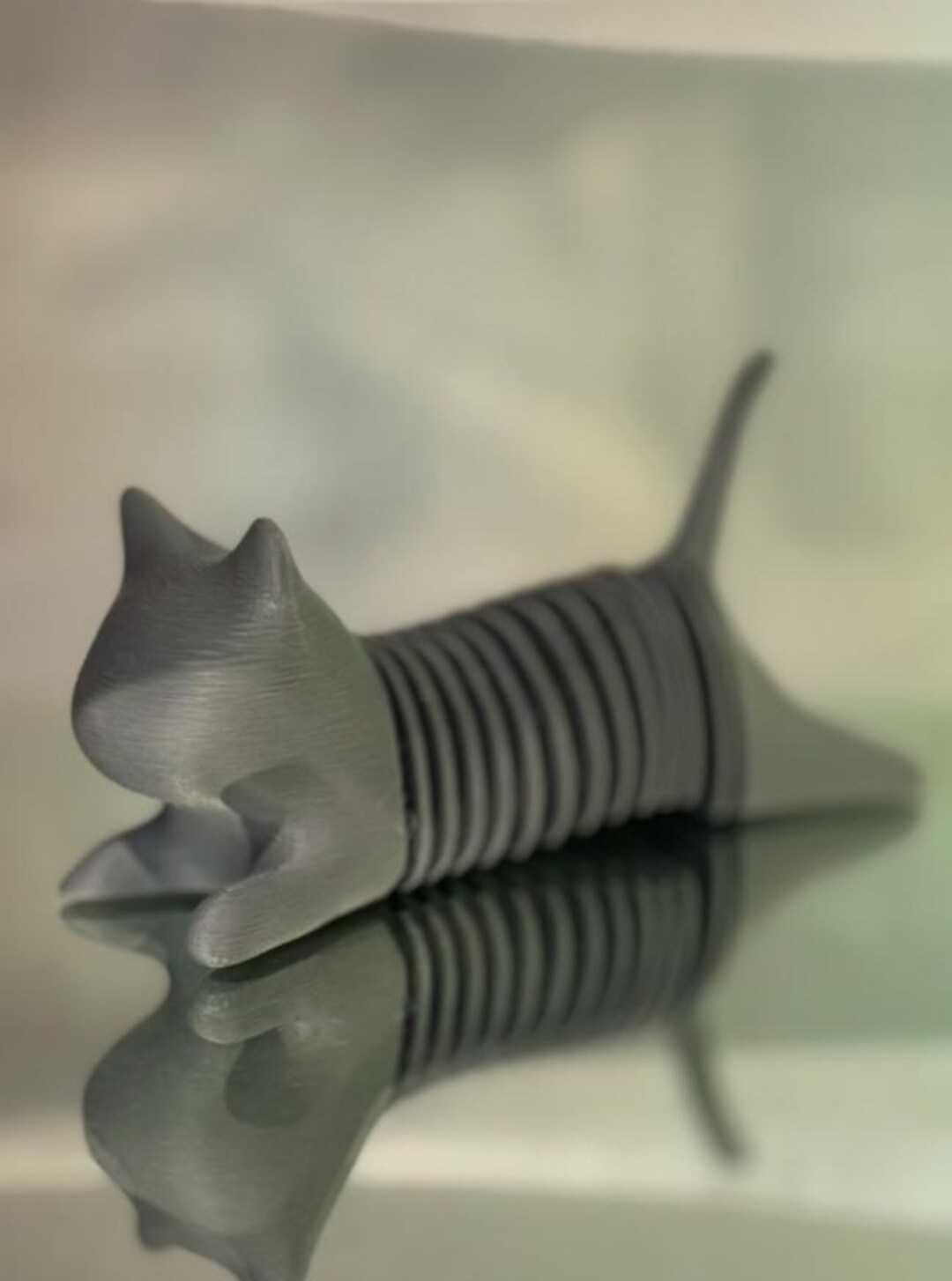 Spring Cat - Etsy