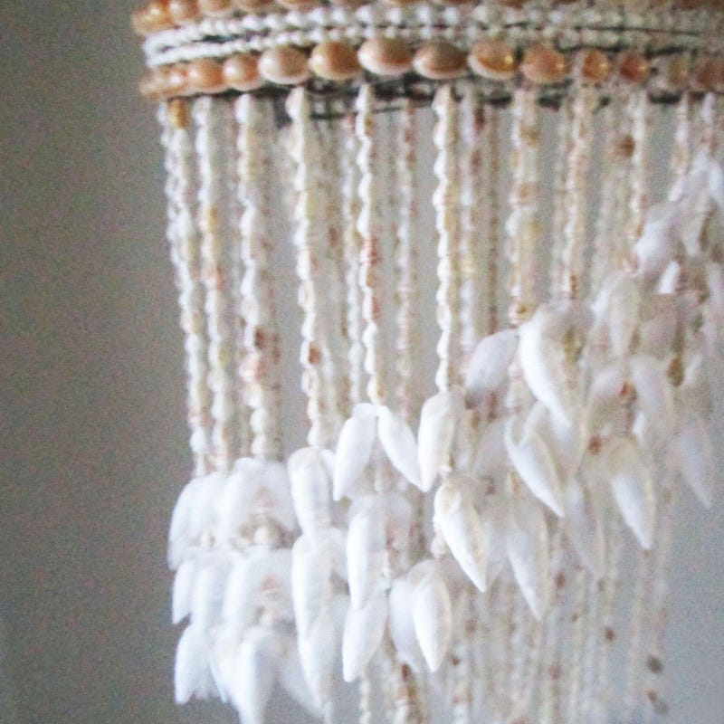 Seashell Chandelier - Etsy