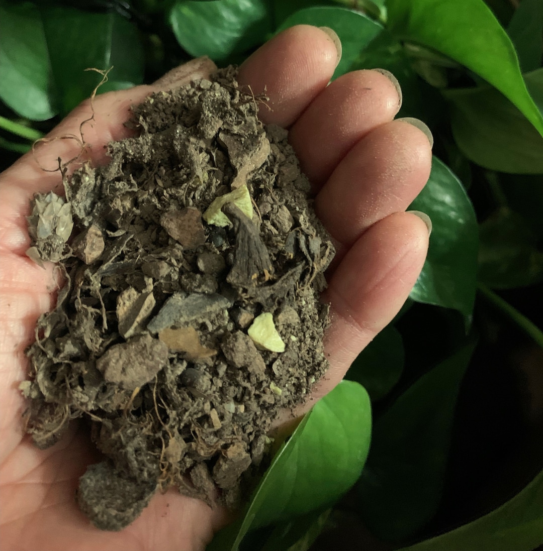 Yoruba Turari Cleansing Incense Ewe Oogun Ifa for Ritual Cleansing of ...