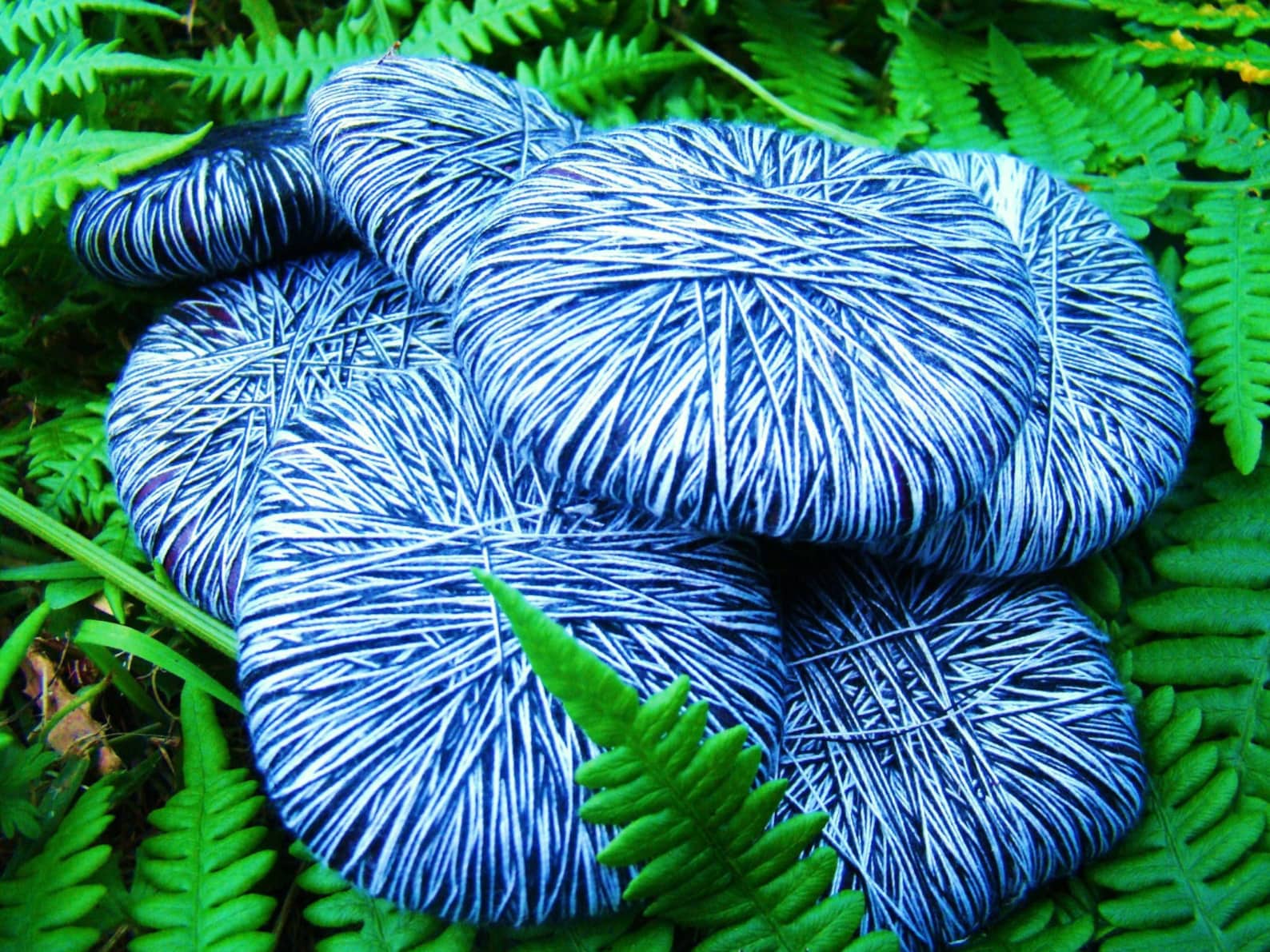 Yoruba Ifa Talisman Yoruba Amulet Clear Your Road Ewe Oogun - Etsy