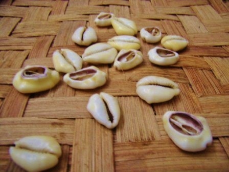 Orisa Reading Cowrie Shell Divination Psychic Reading 2 Hour + Spirit ...