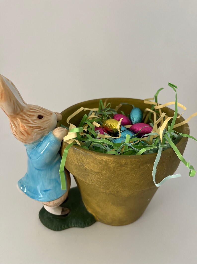 Beatrix Potter Peter Rabbit Flower Pot - Etsy
