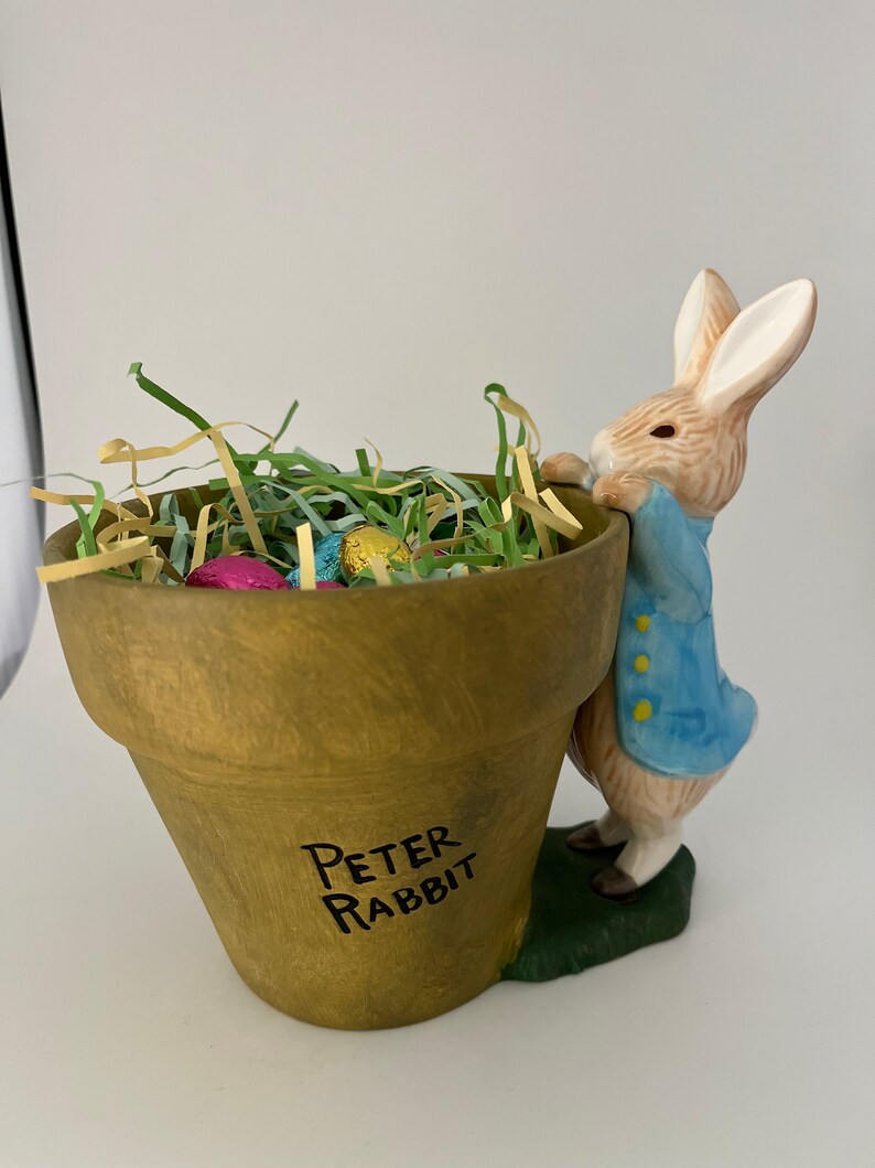 Beatrix Potter Peter Rabbit Flower Pot - Etsy
